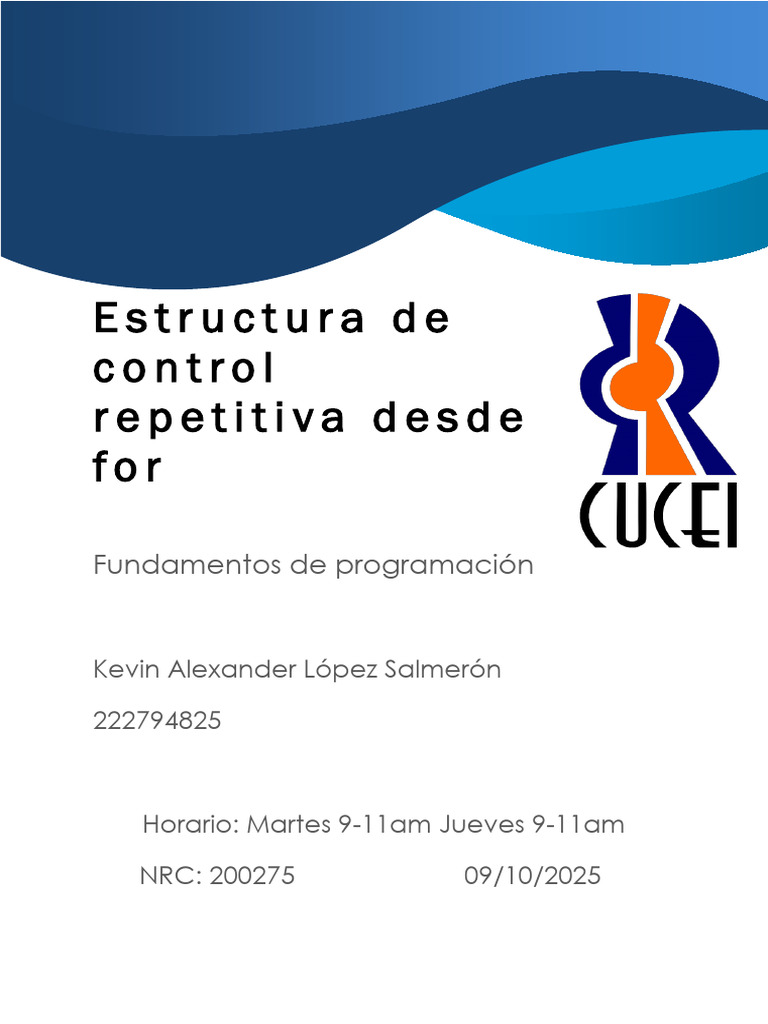Estructura de Control Repetitiva Desde For | PDF