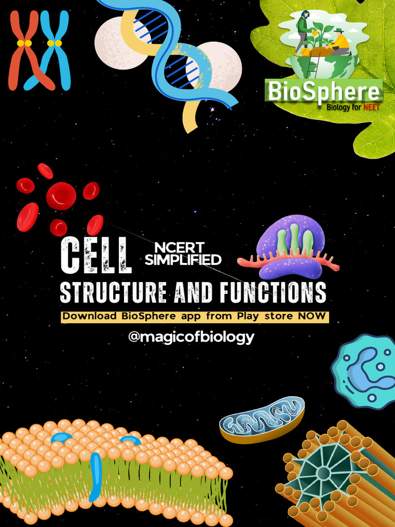 Cell Structure and Function Mind Map | PDF | Cell Membrane | Chloroplast
