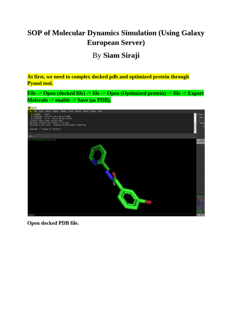 Siam - Molecular Dynamics Simulation Steps | PDF | Protein Data Bank ...