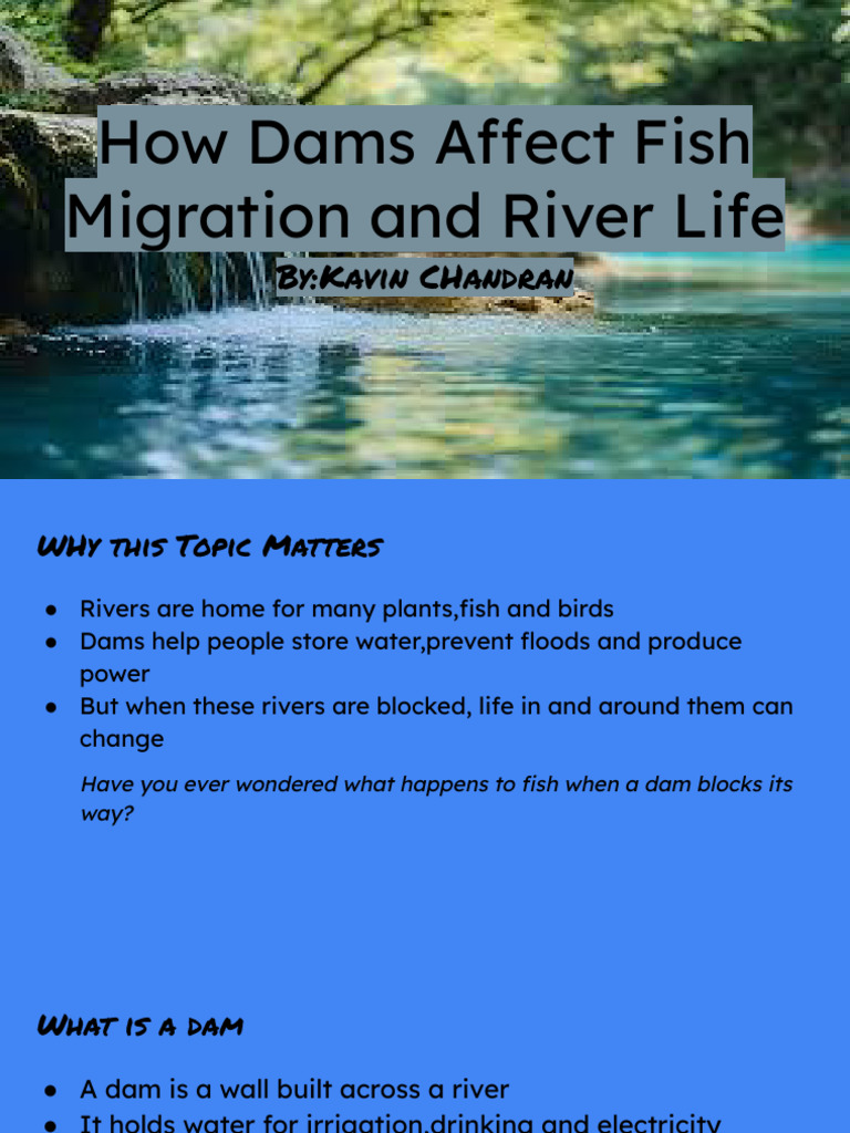 ! How Dams Affect Fish Migration and River Life | PDF