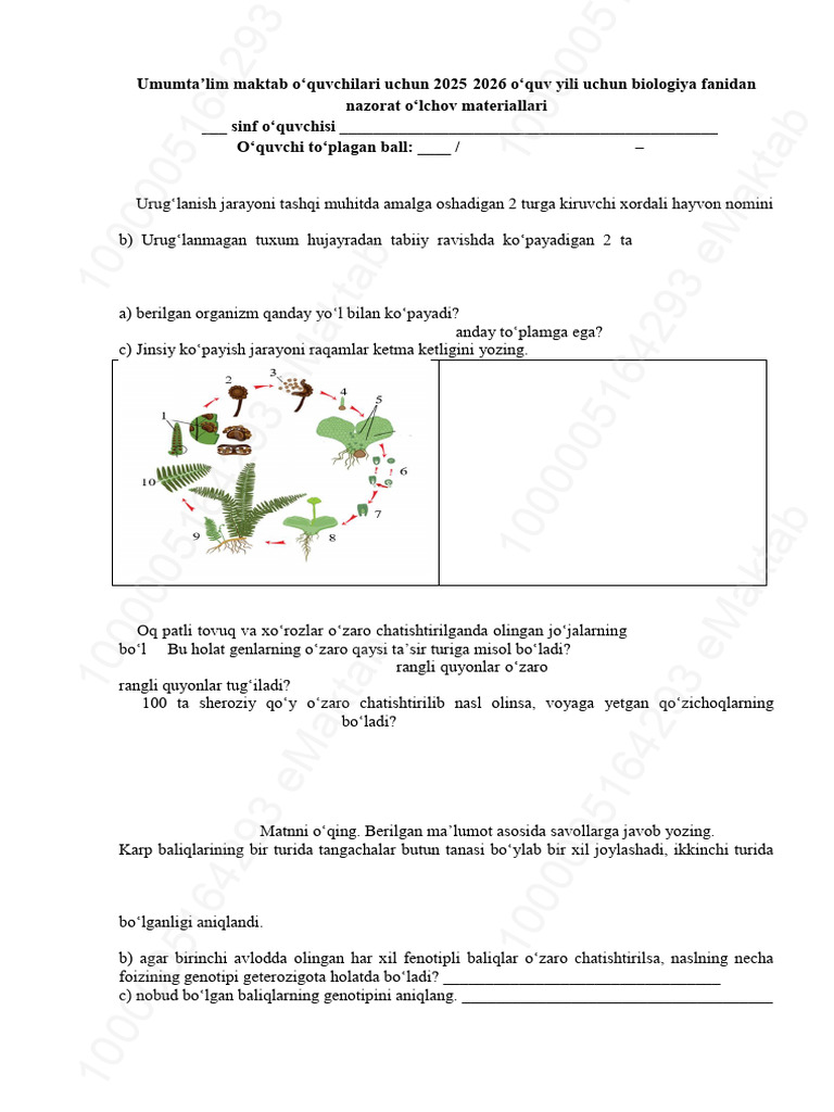 +++10- Sinf Umumta'Lim 5- BSB III Chorak | PDF