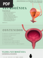 Reflejo de Micción y su Fisiología | PDF | Micción | Vejiga urinaria