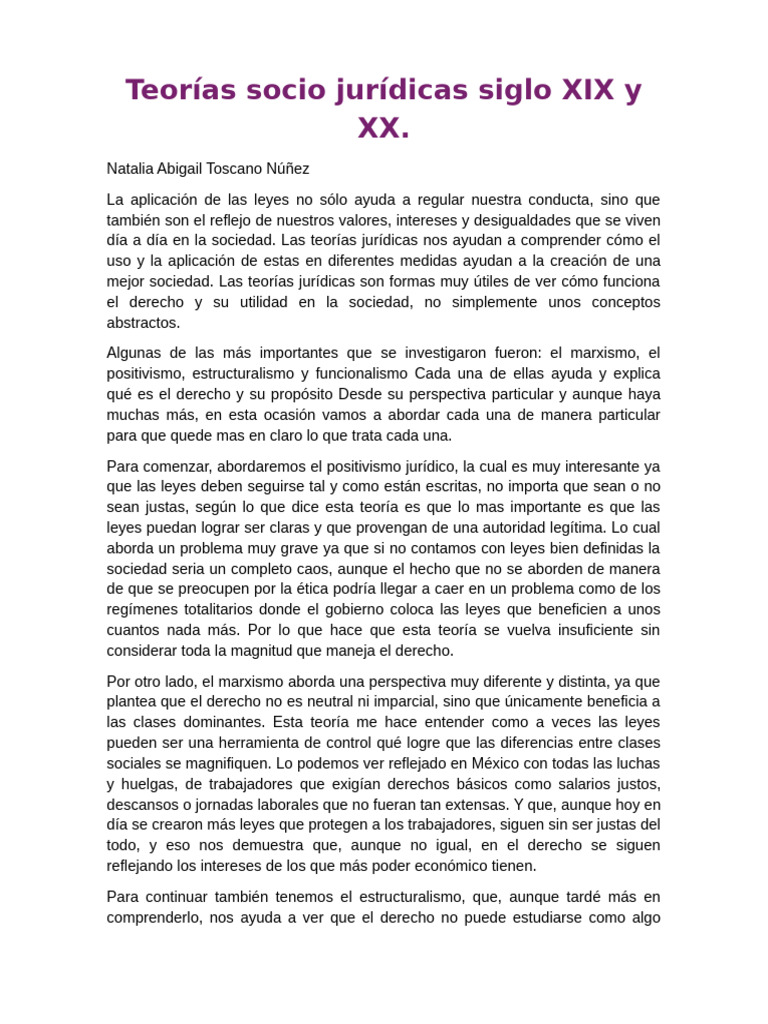 Teorías Socio Jurídicas Siglo XIX y XX | PDF | Sociedad | Teoría