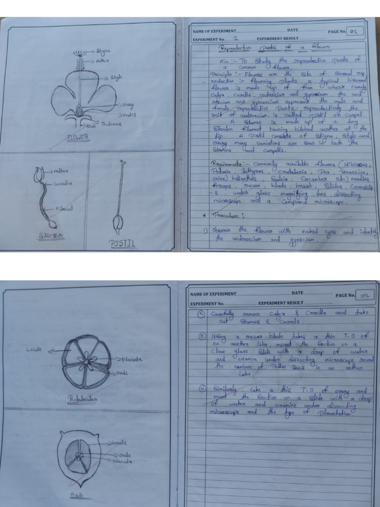 Biology Practical Record | PDF