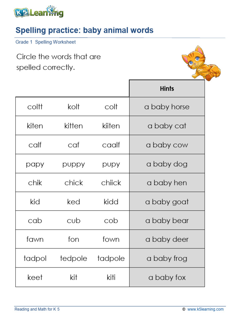 Grade 1 Match Word 2 | PDF