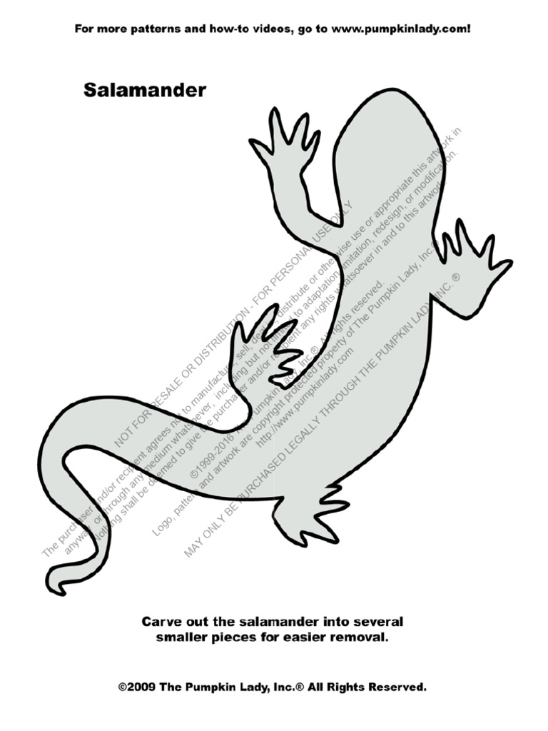 Salamander | PDF