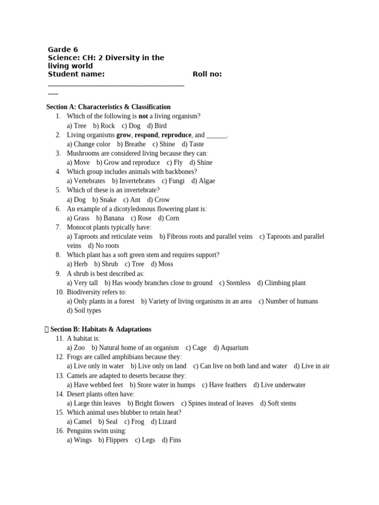Grade 6 Science Worksheet Cbse | PDF | Leaf | Rainforest