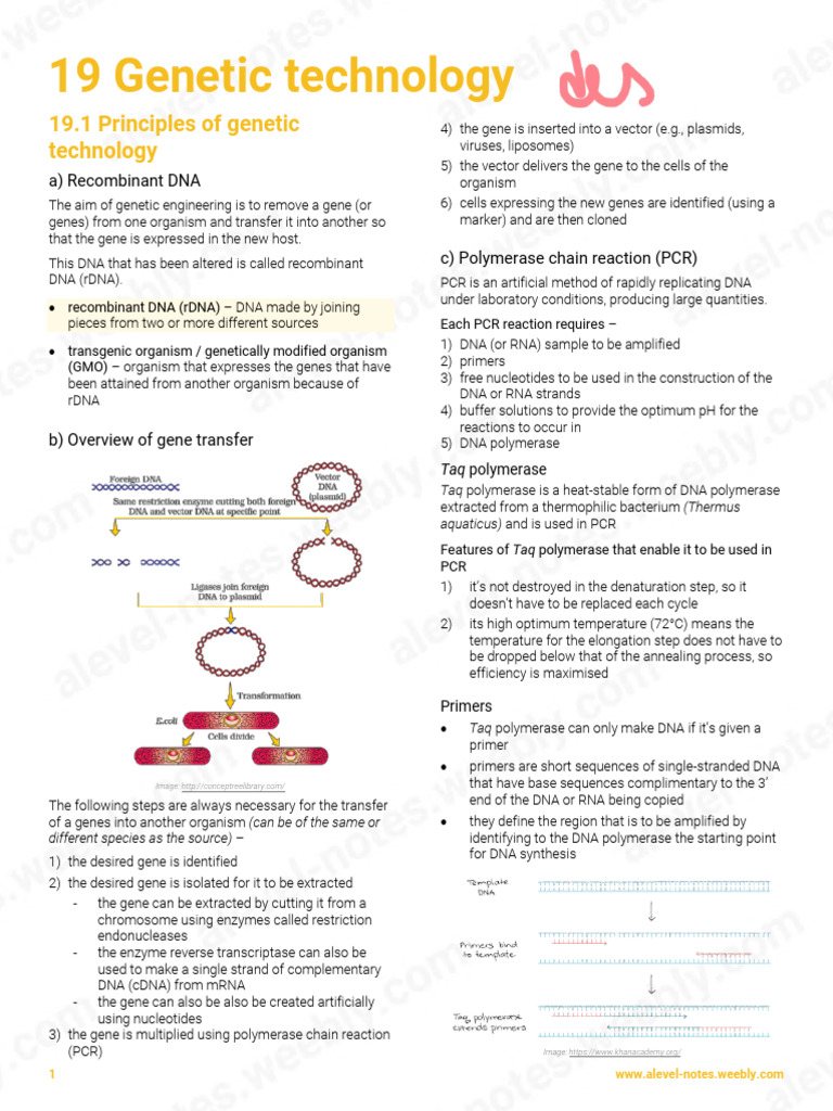 19 Genetic Technology | PDF | Complementary Dna | Primer (Molecular ...