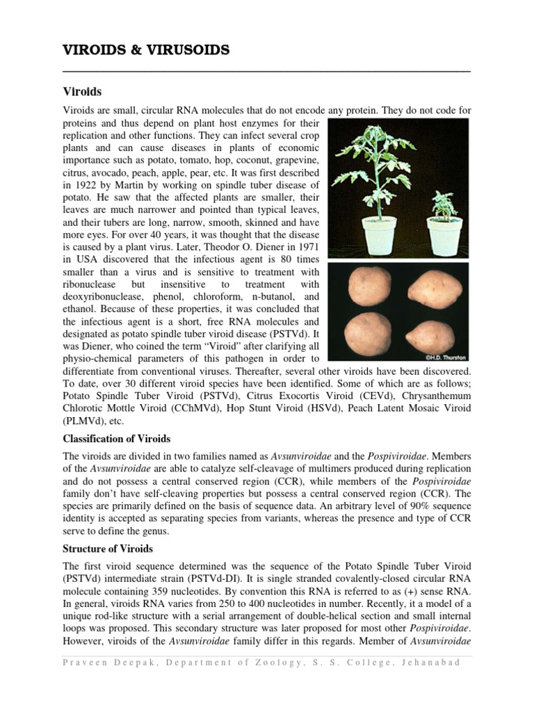 ZOODSC 151 Unit I Viroids & Virusoids | PDF | Rna | Virus
