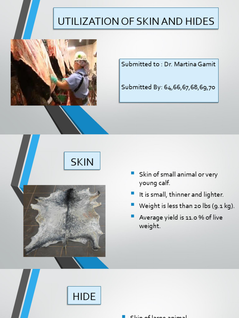 Utilization of Skin and Hides of Animals | PDF | Leather | Materials