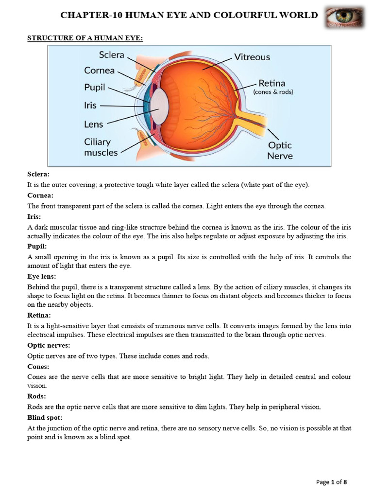 Class 10 Ch-10 Human Eye and Colourful World | PDF | Rainbow | Eye