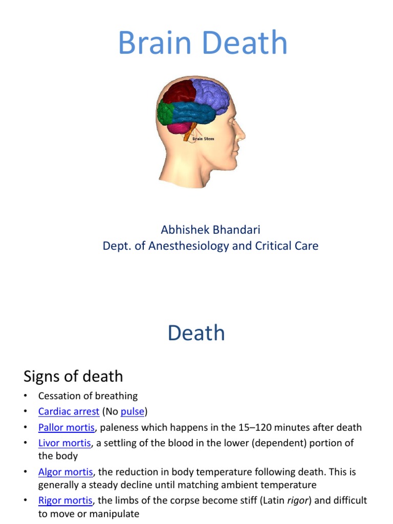 Brain Death | PDF | Angiography | Coma
