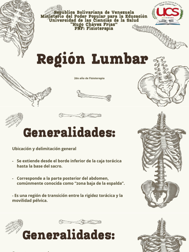 Presentacion de Region Lumbar | PDF | Pelvis | Dolor lumbar