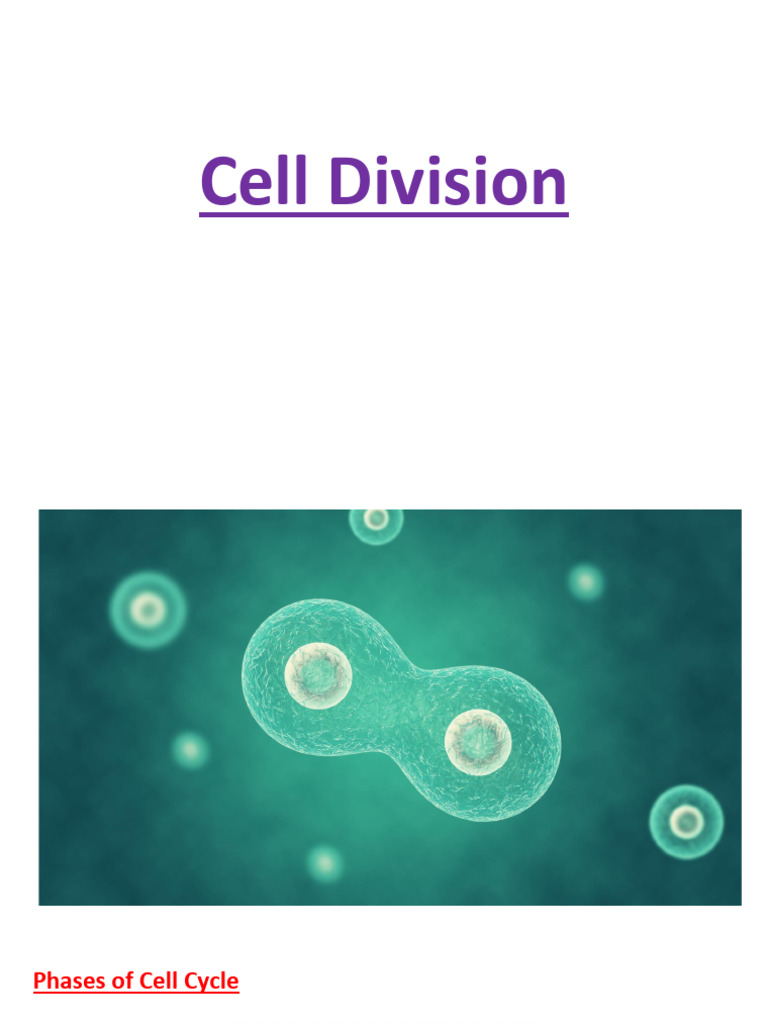 Cell Division | PDF | Meiosis | Mitosis