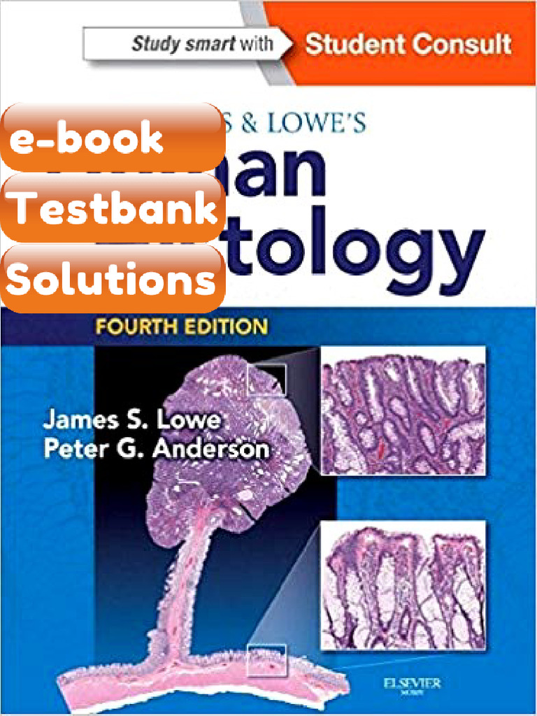 Ebook & Testbank Stevens and Lowe S Human Histology 4th Edition by ...