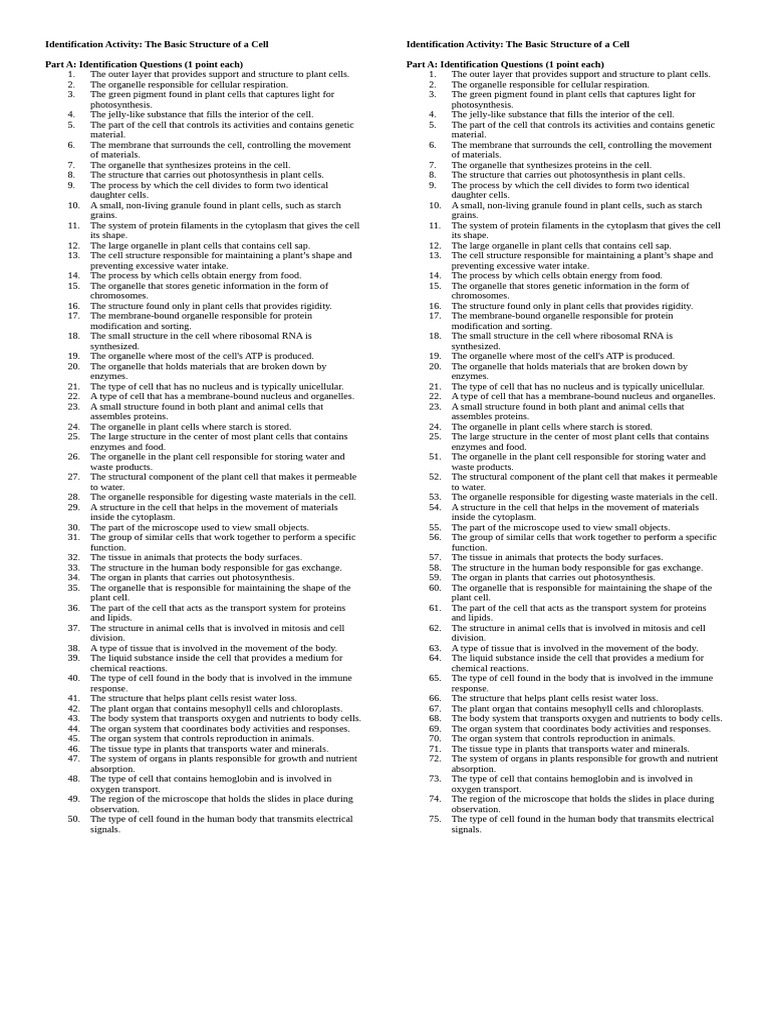 Biology Identification Activity | PDF | Cell (Biology) | Cell Nucleus