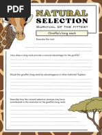 PHET Natural Selection Rabbit Lab Guide | PDF | Tooth | Rabbit