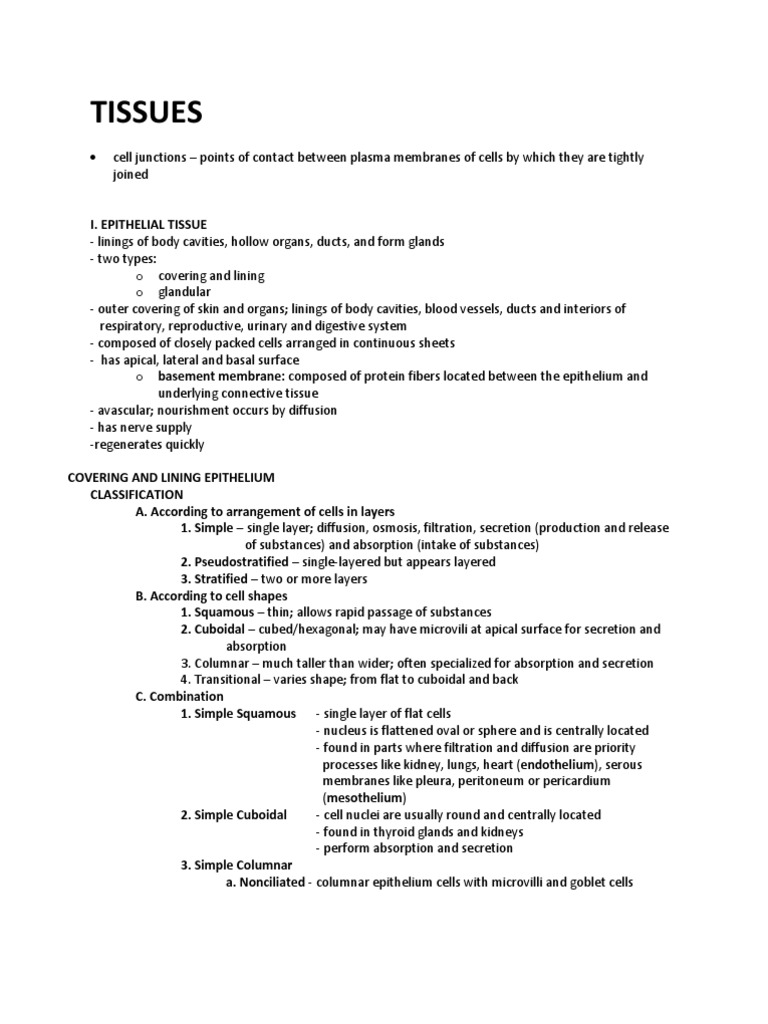 Tissues Reviewer | PDF | Epithelium | Histology