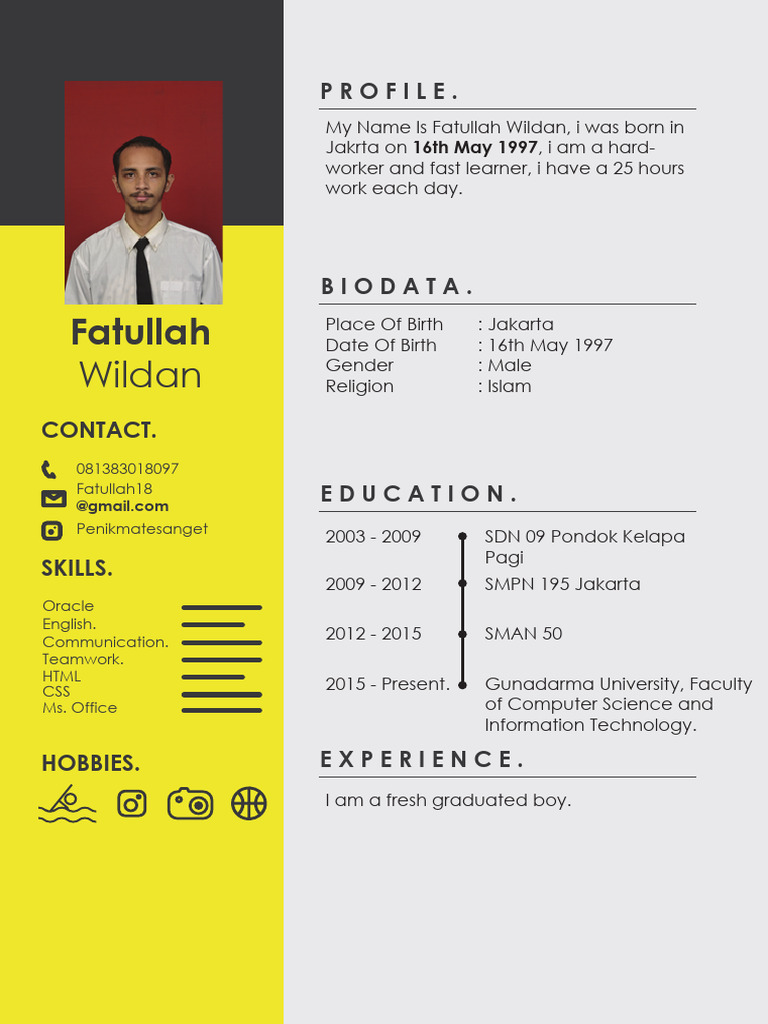 CV Fatullah | PDF