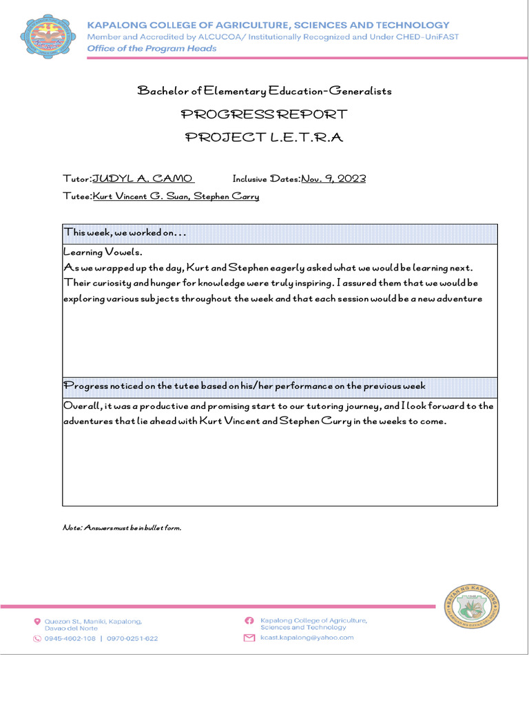 Progress Report Format 3 | PDF