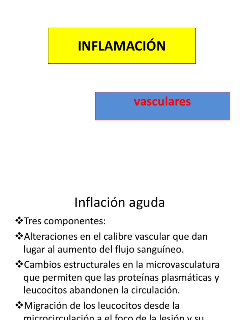 Inflamación Aguda: Mecanismos y Efectos | PDF | Edema | Inflamación