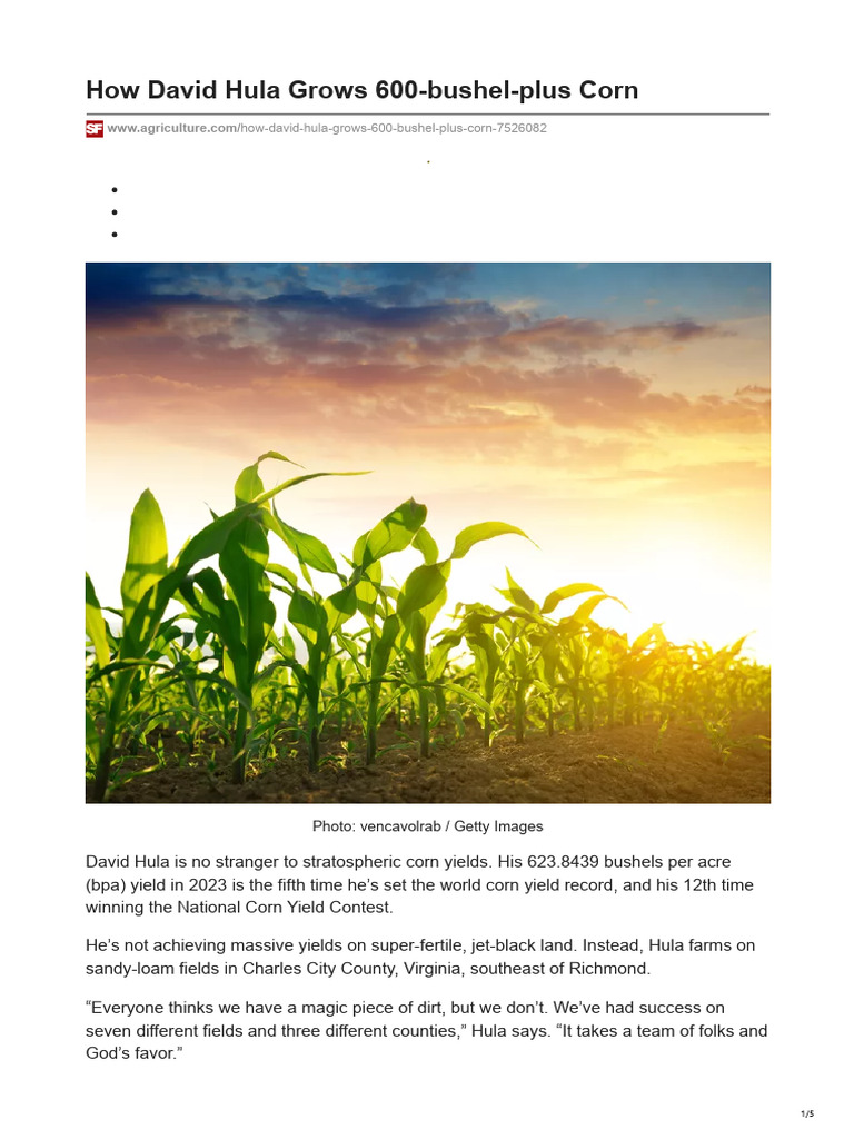 How David Hula Grows 600-Bushel-Plus Corn | PDF | Fertilizer | Plant ...