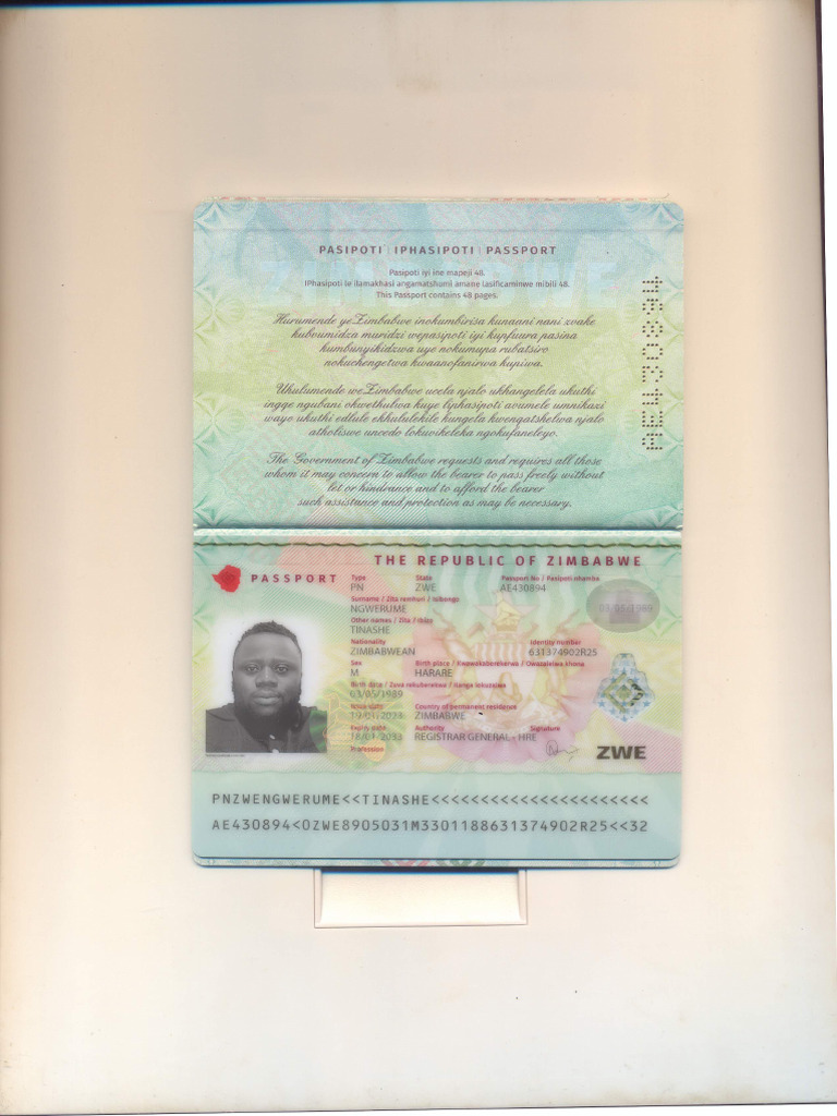 Tinashe Passport0001 | PDF