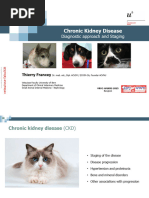 IRIS CKD Staging Guide for Dogs and Cats | PDF | Chronic Kidney Disease ...