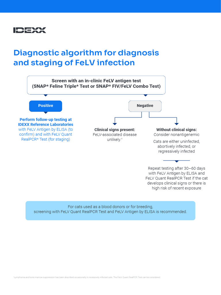 09 2690548 00 Felv Testing Algorithm en Us | PDF | Viral Diseases ...