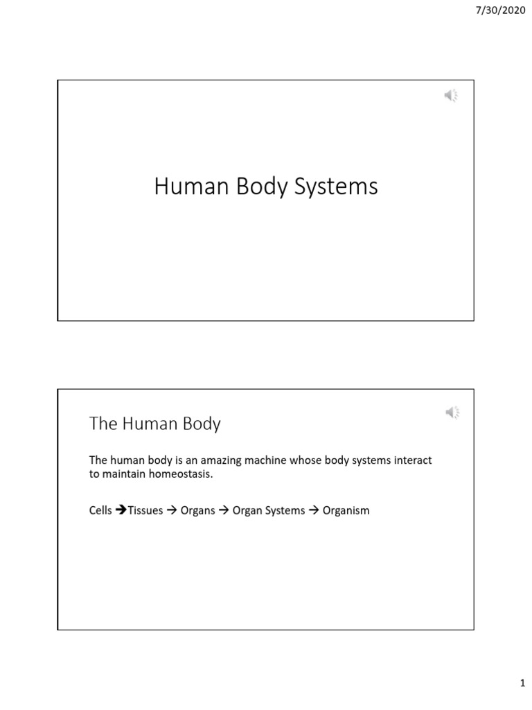 Human Body Systems Notes | PDF | Human Body | Muscle