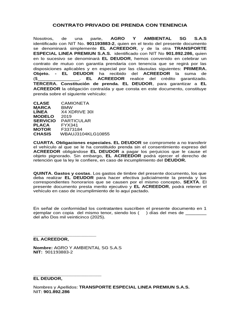 Prenda Modelo | PDF