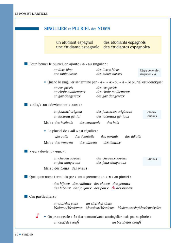 Le Pluriel Des Noms Exercices | PDF