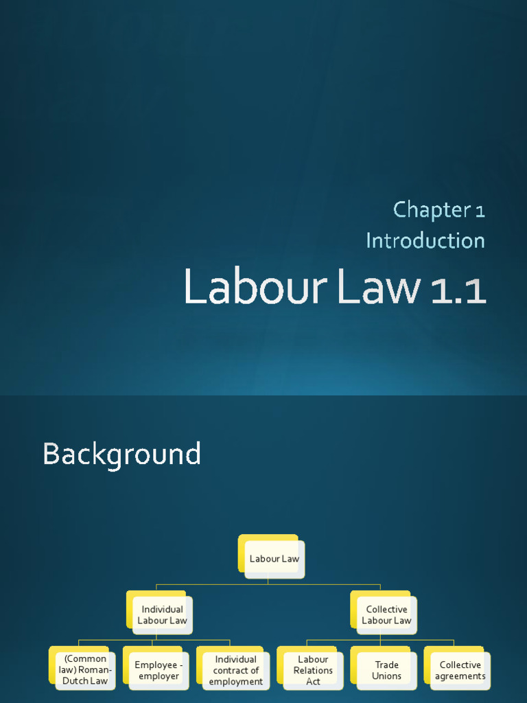 Labour Law 1.1 Chapter 1 2026 Power Point | PDF | Labour Law | Common Law