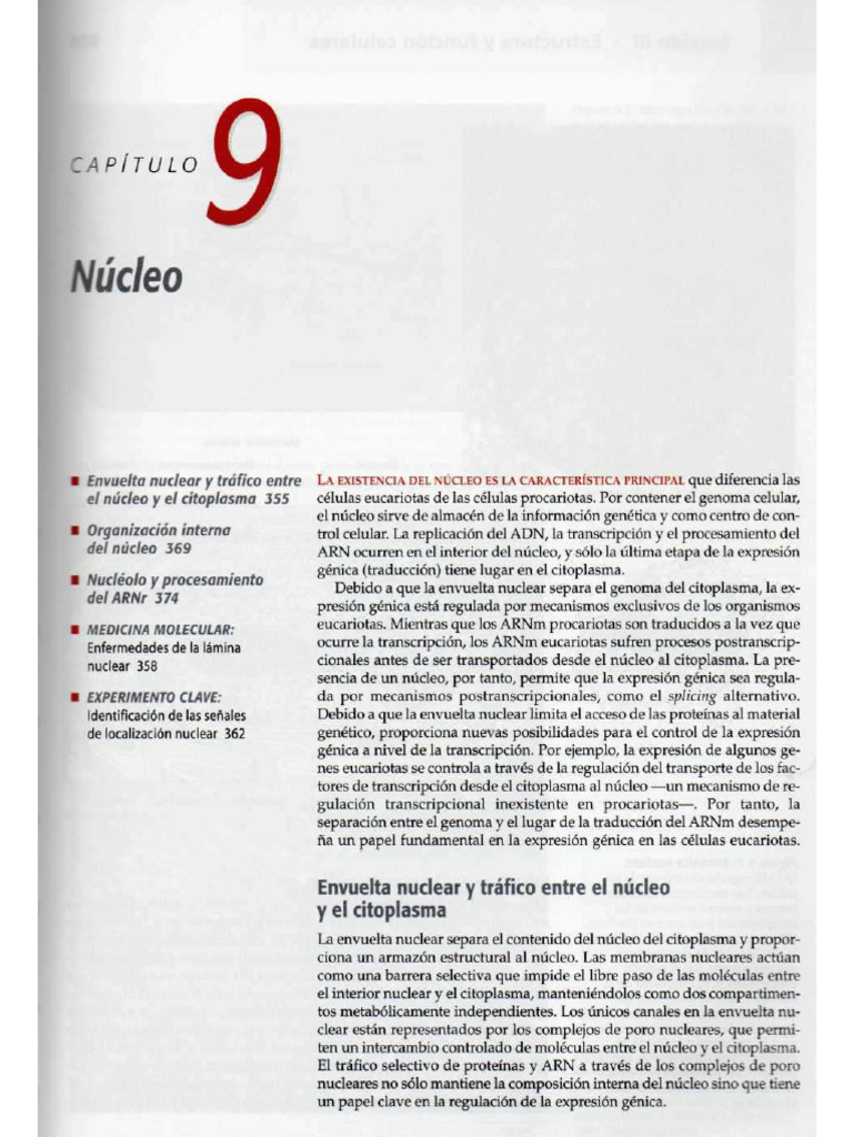 Cap 09 Nucleo | PDF