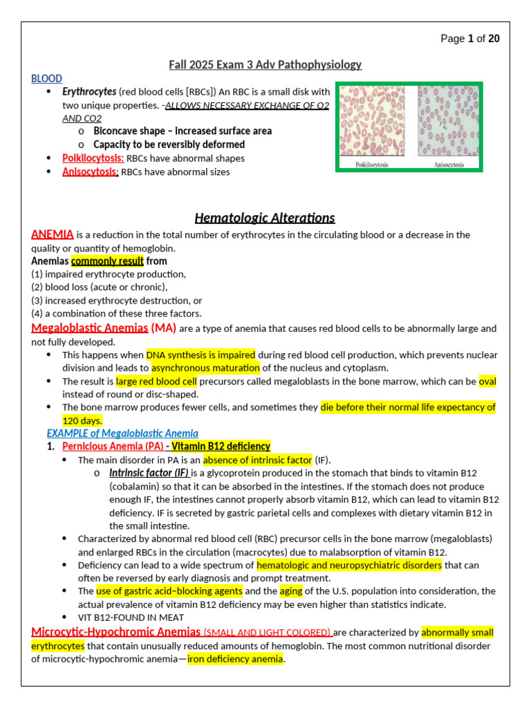 EXAM 3 Advanced Pathophysiology Review | PDF | Myocardial Infarction ...