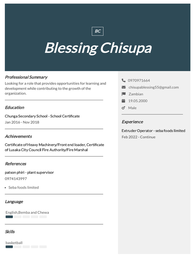 Blessing Resume 212 | PDF