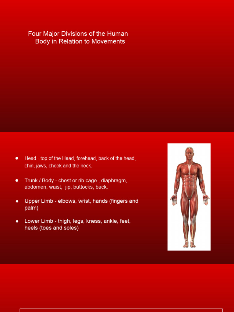 Rhythmic and Dance | PDF | Anatomical Terms Of Motion | Musculoskeletal ...