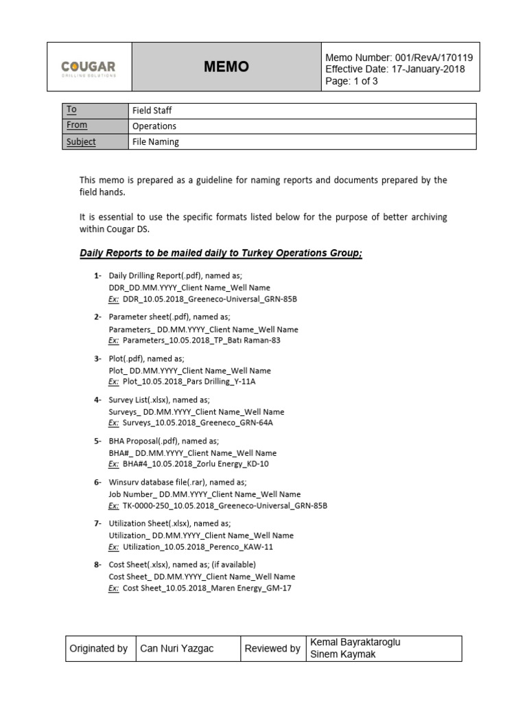 Field Memo - File Naming - 001-RevA-170119 | PDF | Computer File ...