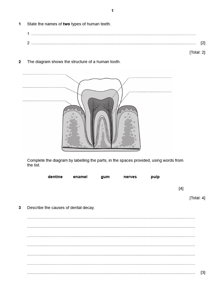 Human Nutrition 1 | PDF | Pancreas | Human Tooth