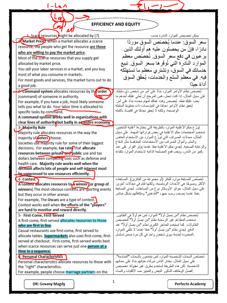 Efficiency and Equity | PDF