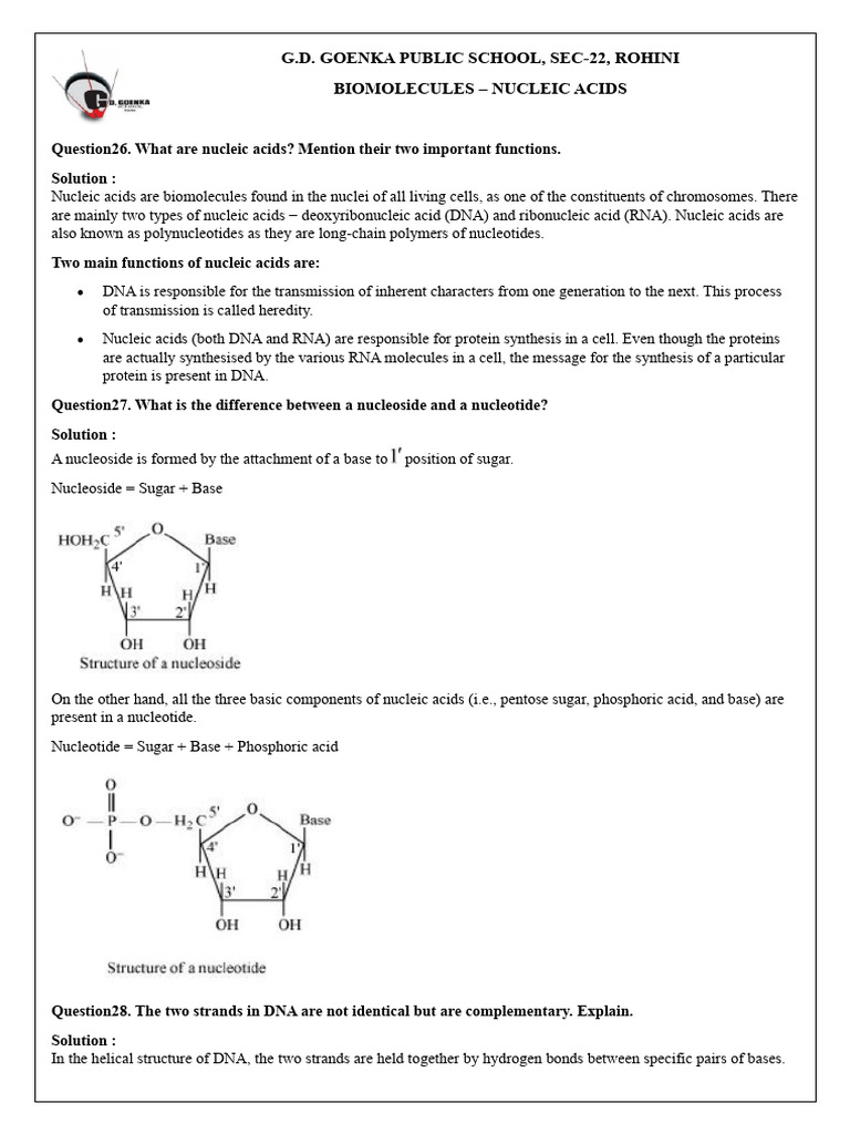 Biomolecules -Nucleic Acid | PDF | Nucleic Acids | Dna