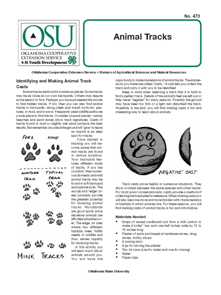 Making Animal Track Casts Guide | PDF | Trail | Title Ix