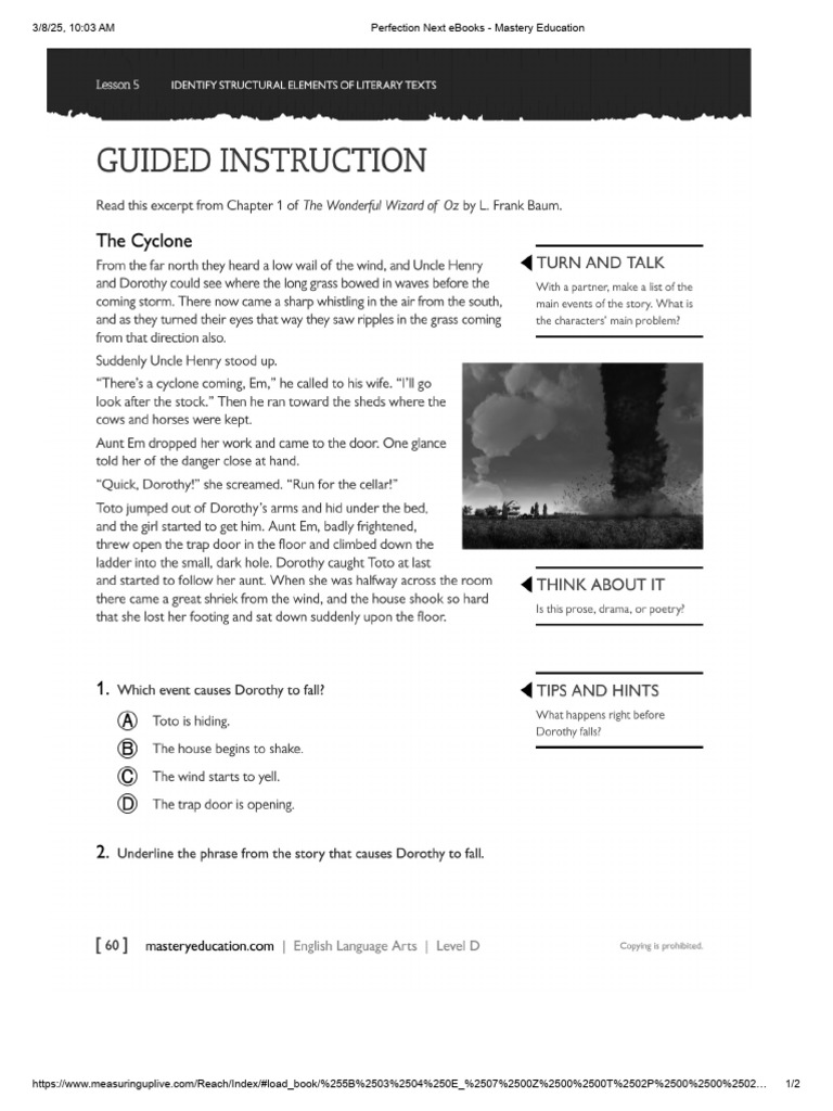 Guided Instruction- Mastery Education | PDF