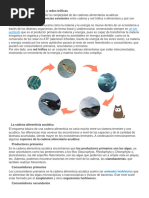 Cadena Alimenticia Acuática y Niveles Tróficos | PDF | Red alimentaria ...
