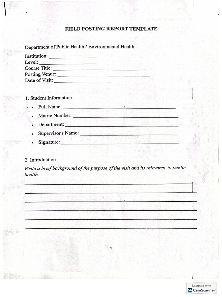 Field Posting Report Template | PDF