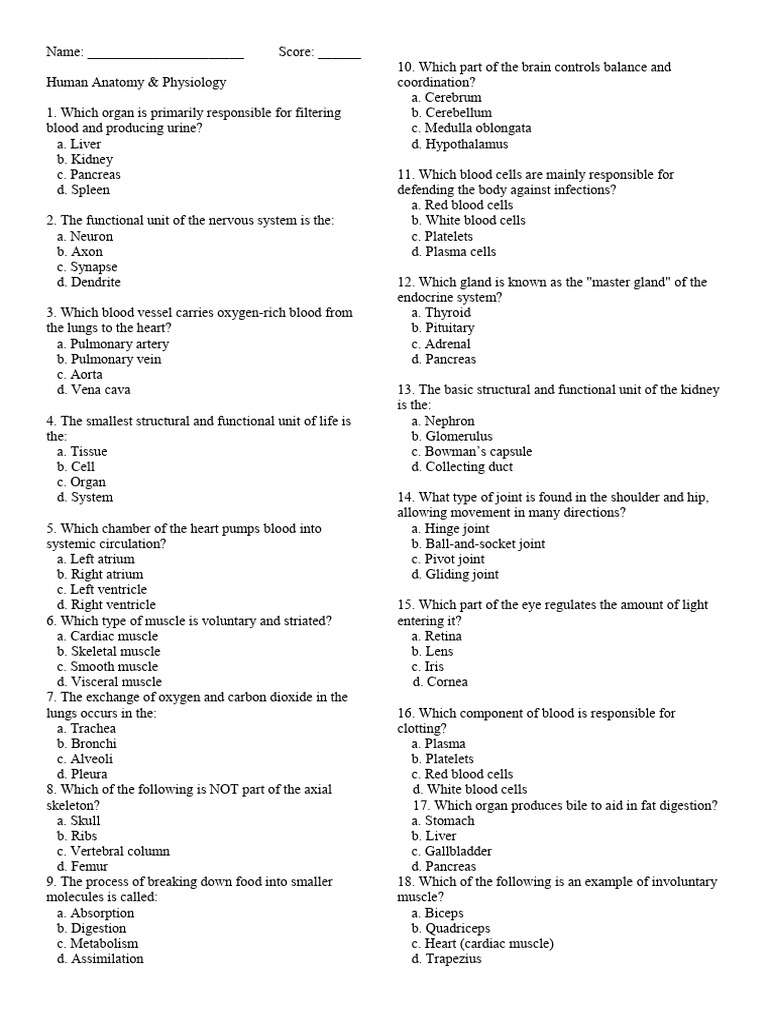 Human Anatomy and Physiology | PDF | Human Body | Blood
