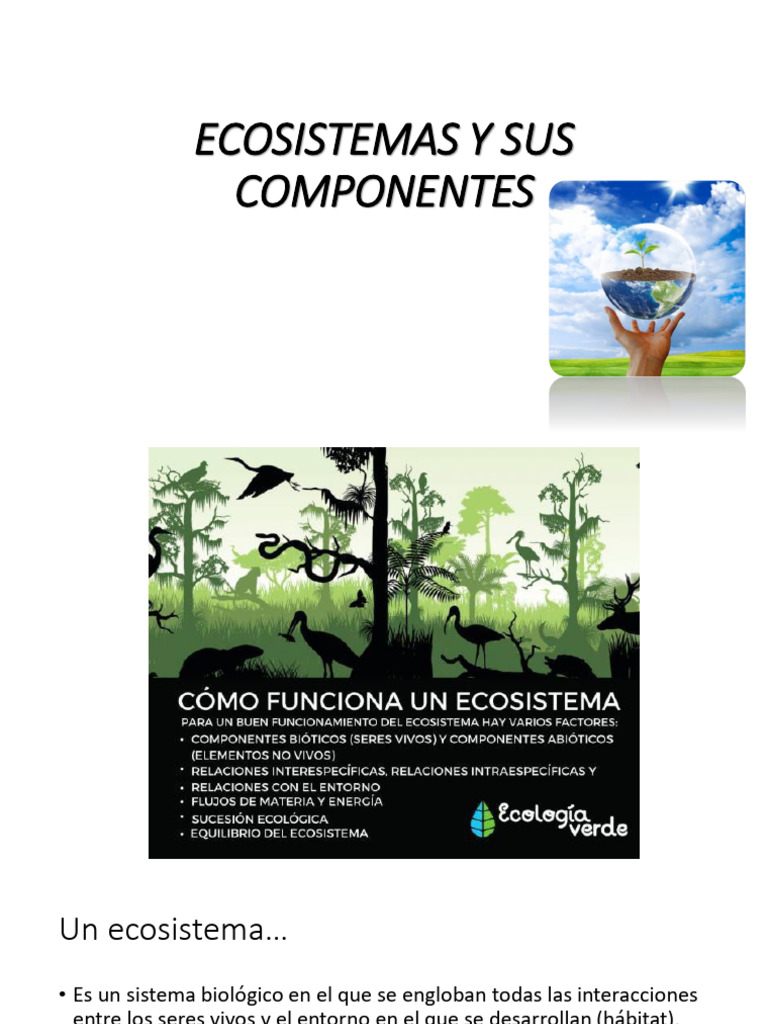 Ecosistemas y Sus Componentes | PDF | Ecosistema | Herbívoro