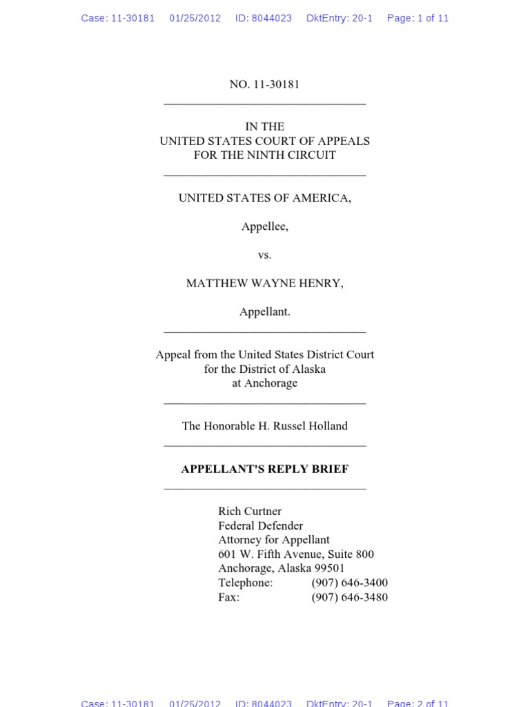 11-30181 Appellant Reply Brief | PDF | Second Amendment To The United ...