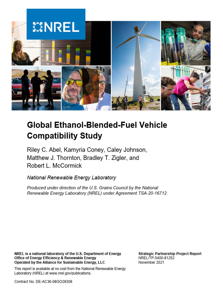 Global Ethanol-Blended-Fuel Vehicle Compatibility Study | PDF ...