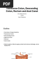 Sigmoid Colon Length and Anatomy | PDF | Large Intestine | Rectum